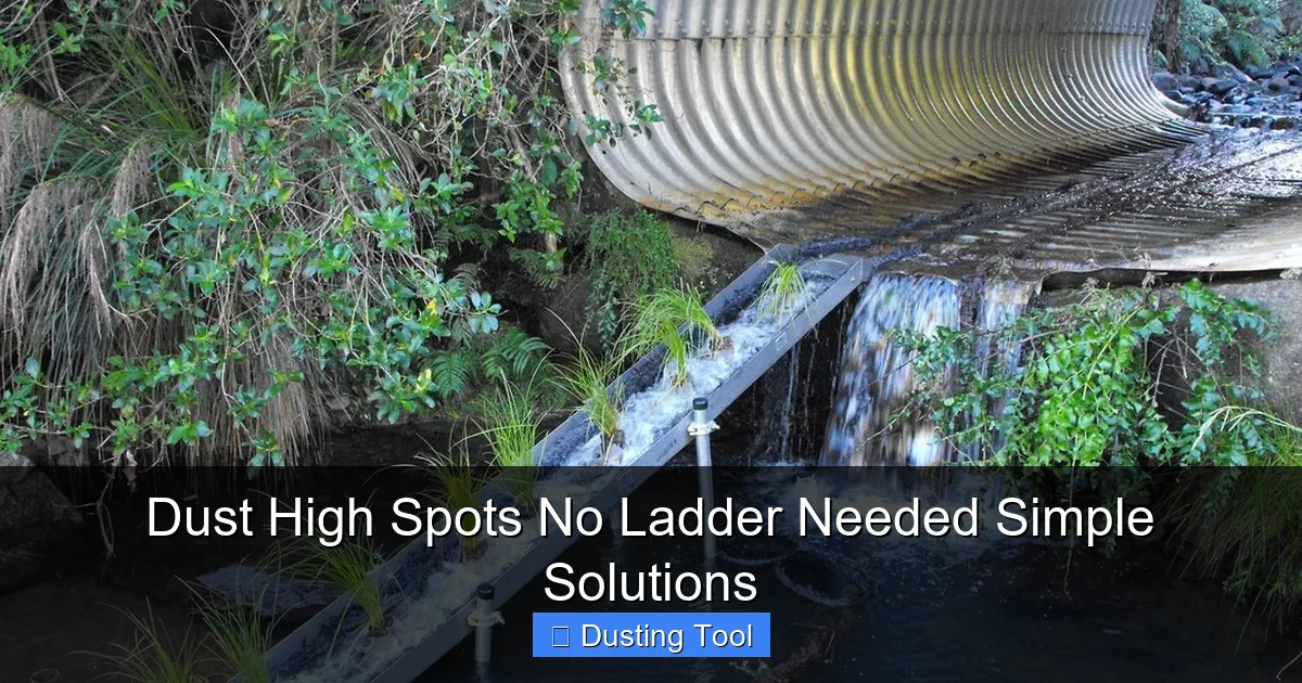 Dust High Spots No Ladder Needed Simple Solutions